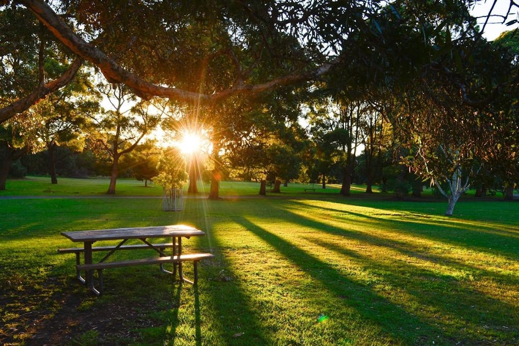 Free Days Out for Familes this Summer | NetVoucherCodes